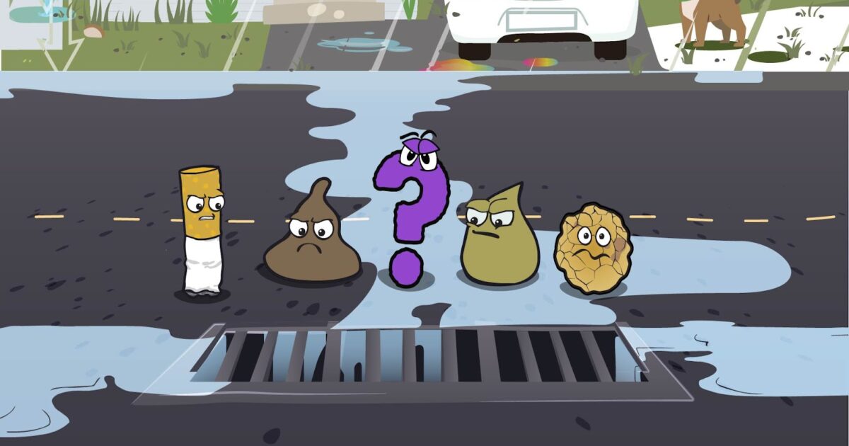 Stomp Out Pollution (Video Game) - Bangor Area Stormwater Group